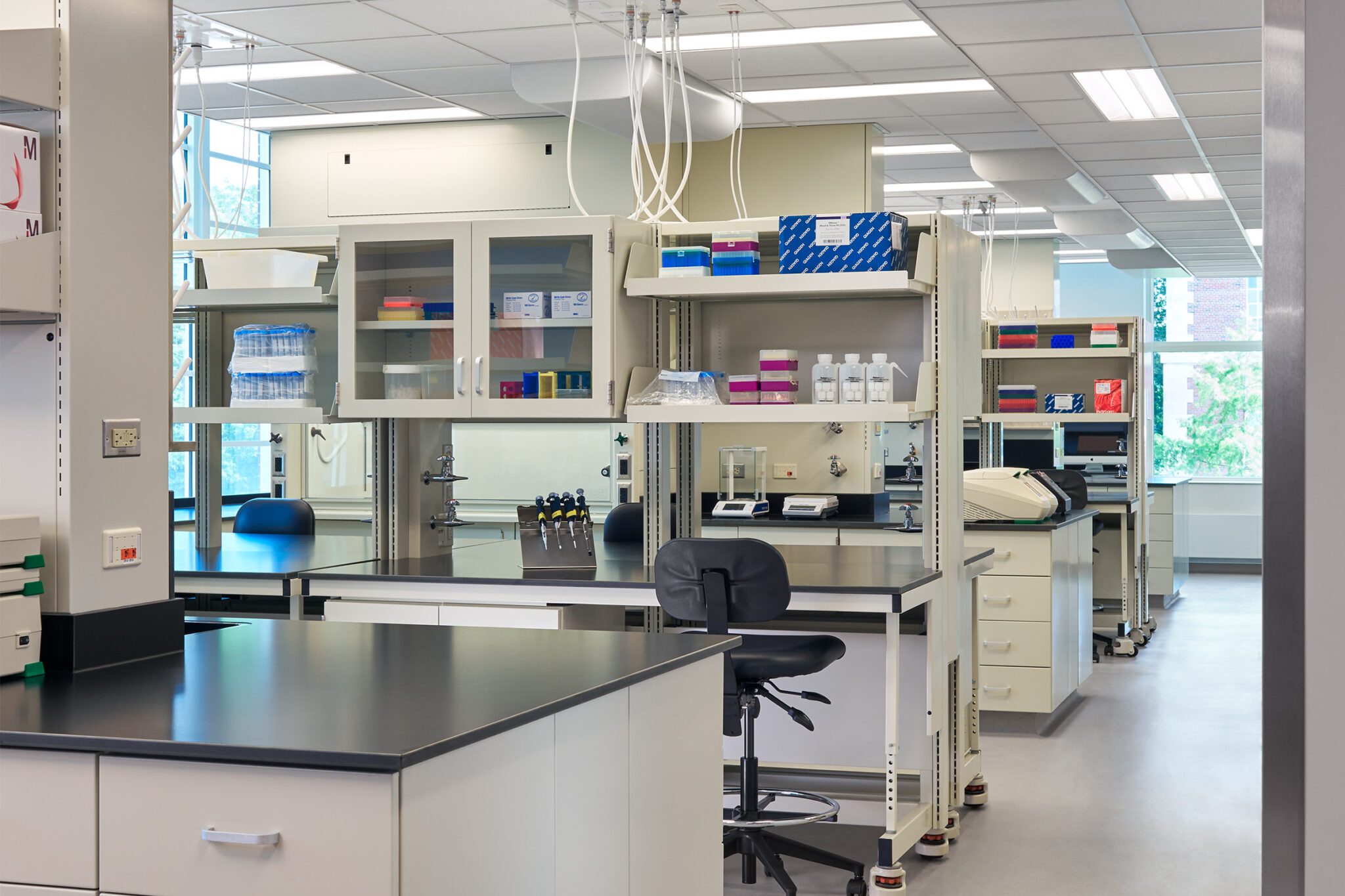 Everitt Lab